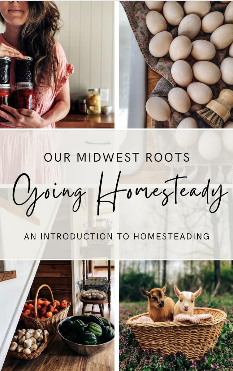 Going Homesteady – Our Midwest Roots